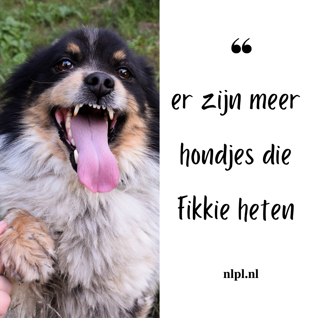 Meest populaire Poolse achternamen. | Woordenboek Nederlands - Pools