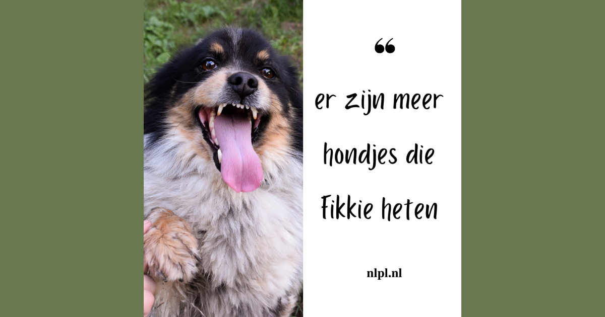 Meest populaire Poolse achternamen. | Woordenboek Nederlands - Pools
